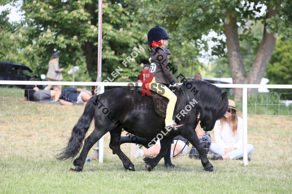 C34_5474 2025 - 1st Class Images