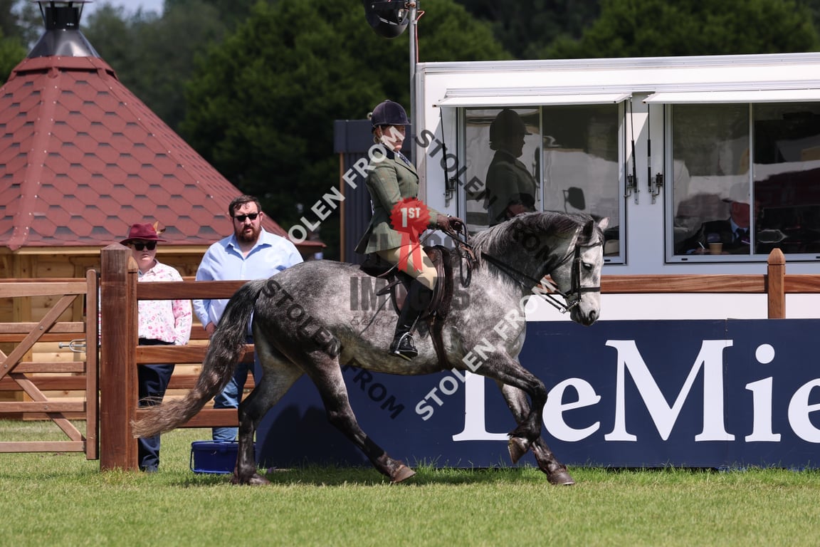 S34_5412 2025 - 1st Class Images