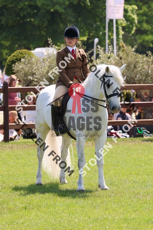 S34_5546 2025 - 1st Class Images