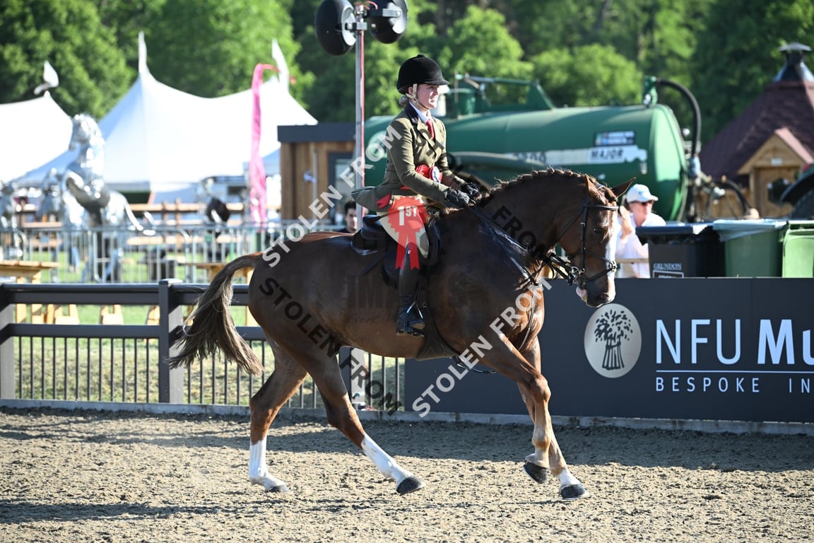 A34_1732 2025 - 1st Class Images