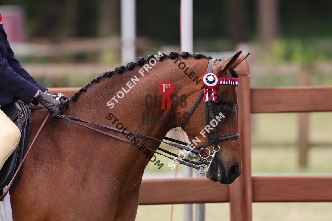 S35_7356 2025 - 1st Class Images