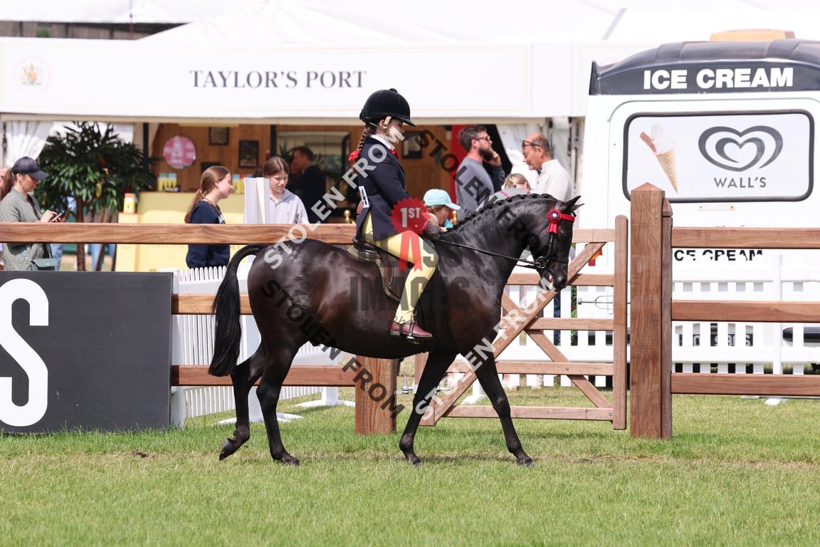 S35_8525 2025 - 1st Class Images