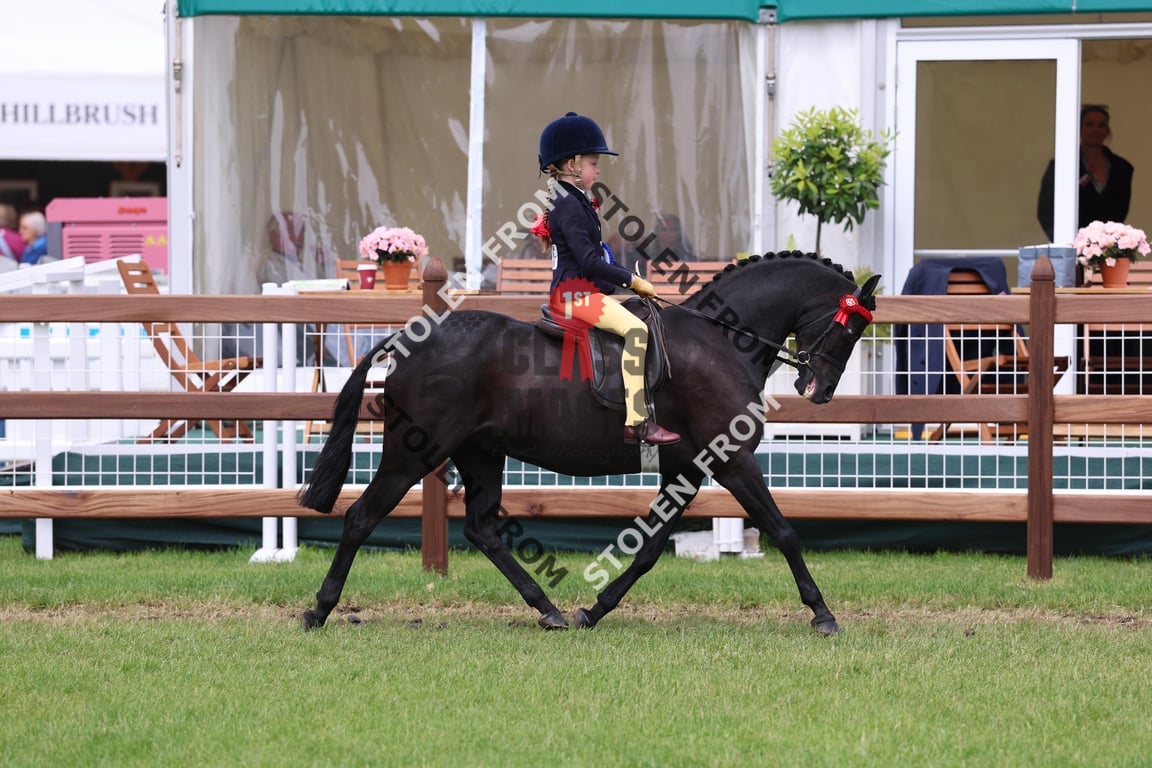 S35_8647 2025 - 1st Class Images