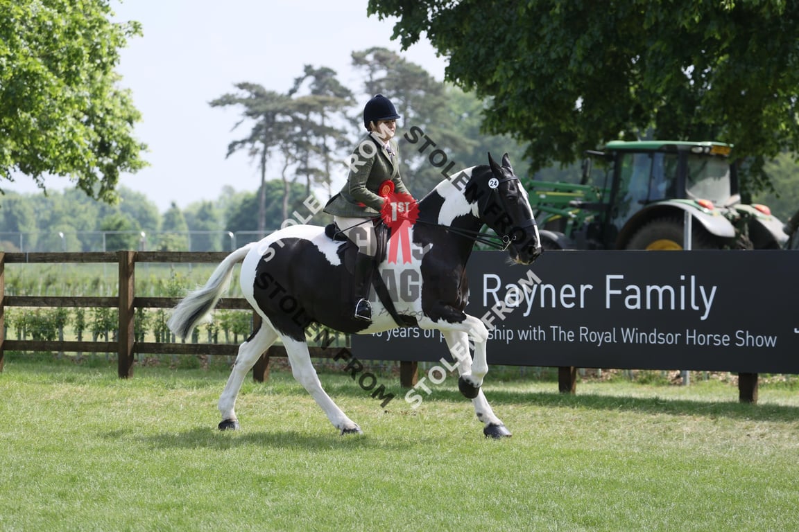 C35_2347 2025 - 1st Class Images