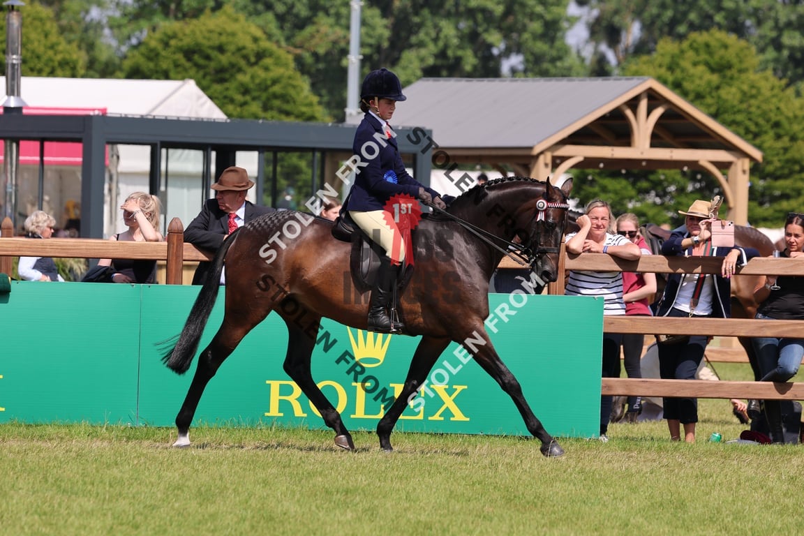 S35_9708 2025 - 1st Class Images