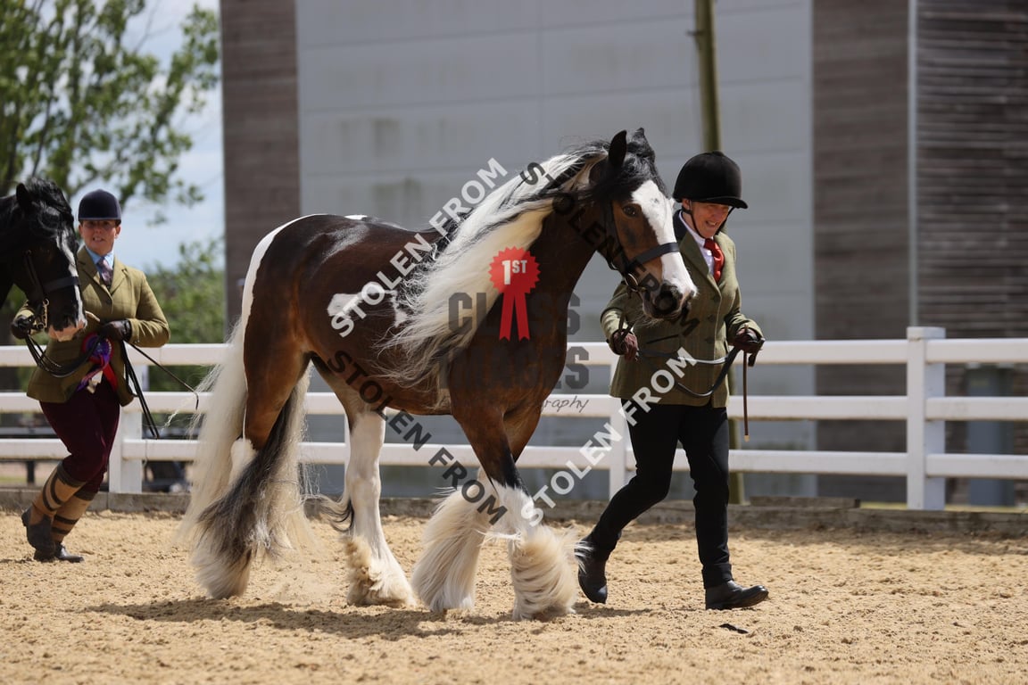 E36_1723 2025 - 1st Class Images