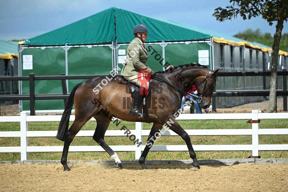 A36_1243 2025 - 1st Class Images