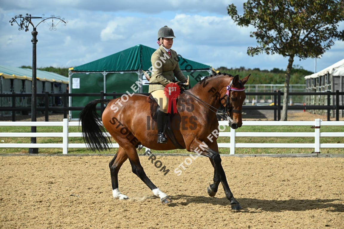 A36_1828 2025 - 1st Class Images