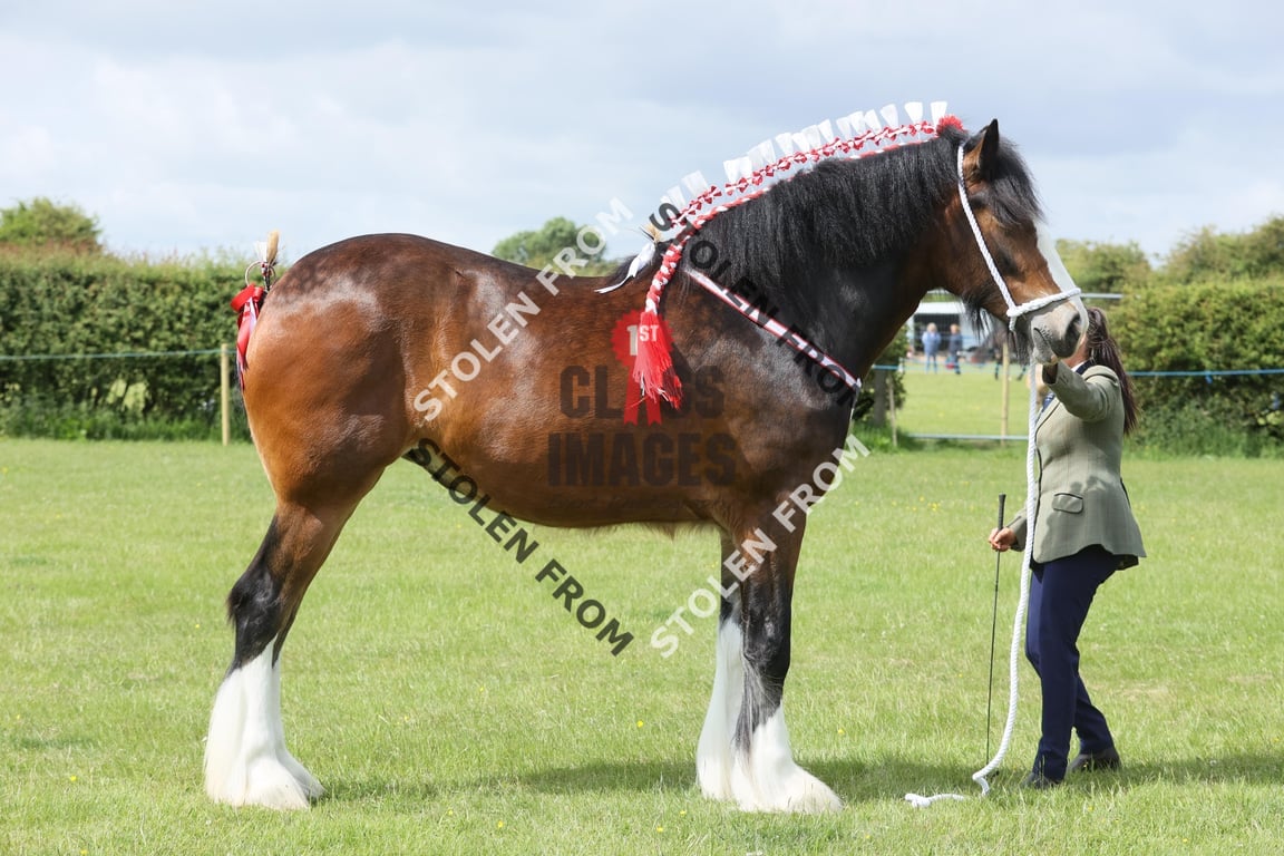 E41_0729 2025 - 1st Class Images