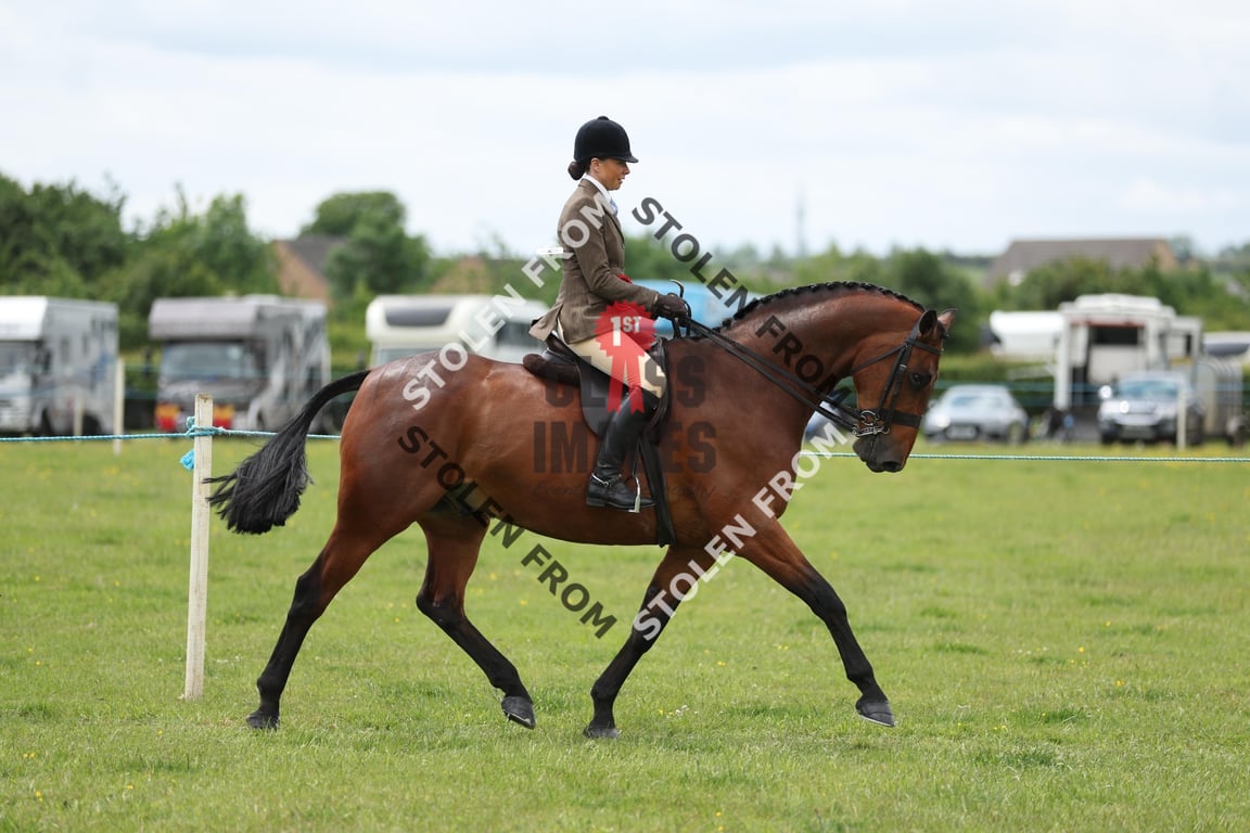 H41_8467 2025 - 1st Class Images