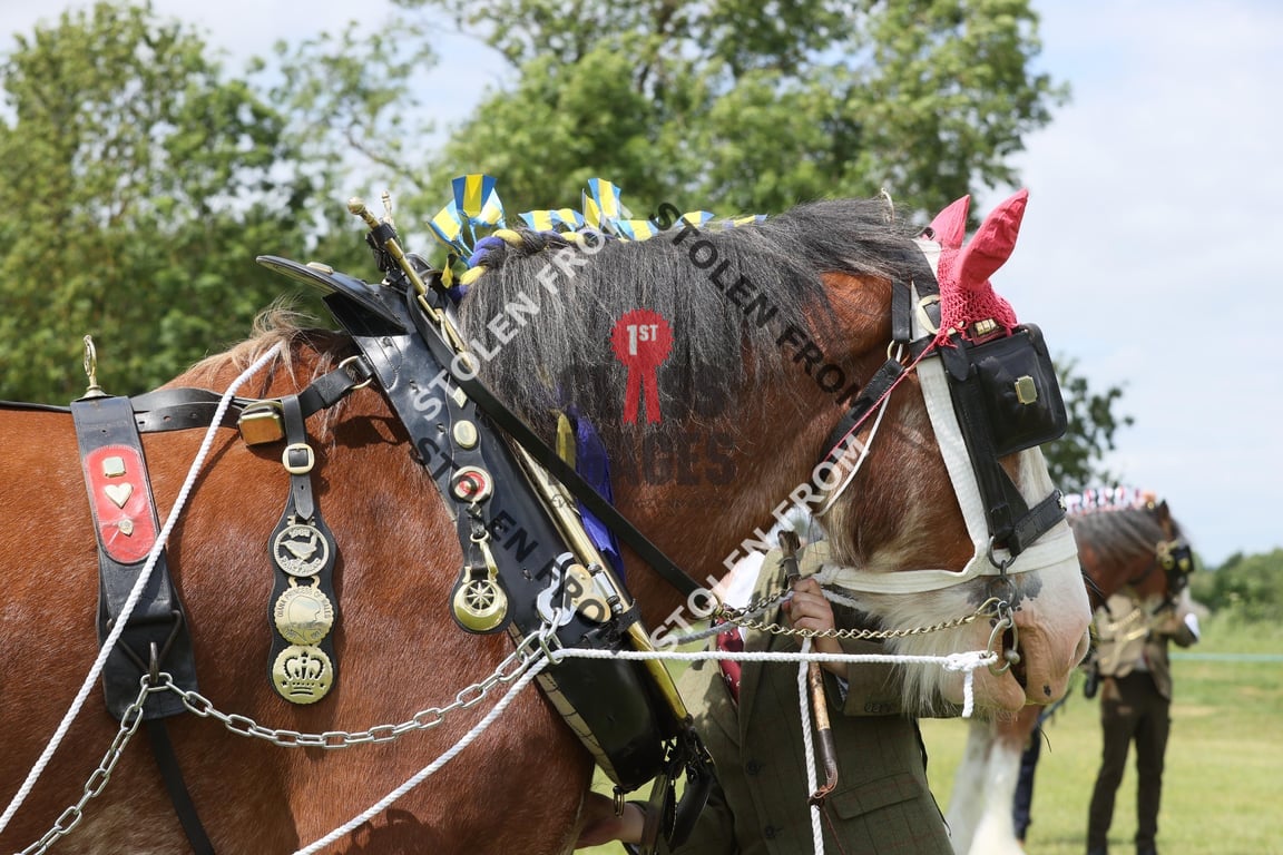 E41_1357 2025 - 1st Class Images