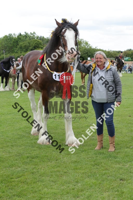 F41_5645 2025 - 1st Class Images