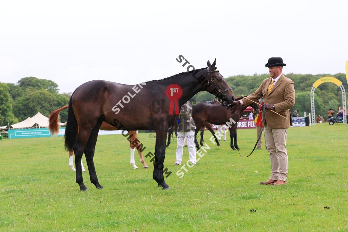 S42_9246 2025 - 1st Class Images