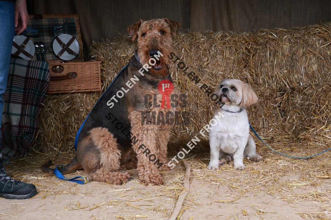 F45_2071 2025 - 1st Class Images