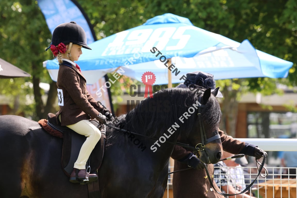 S46_1149 2025 - 1st Class Images