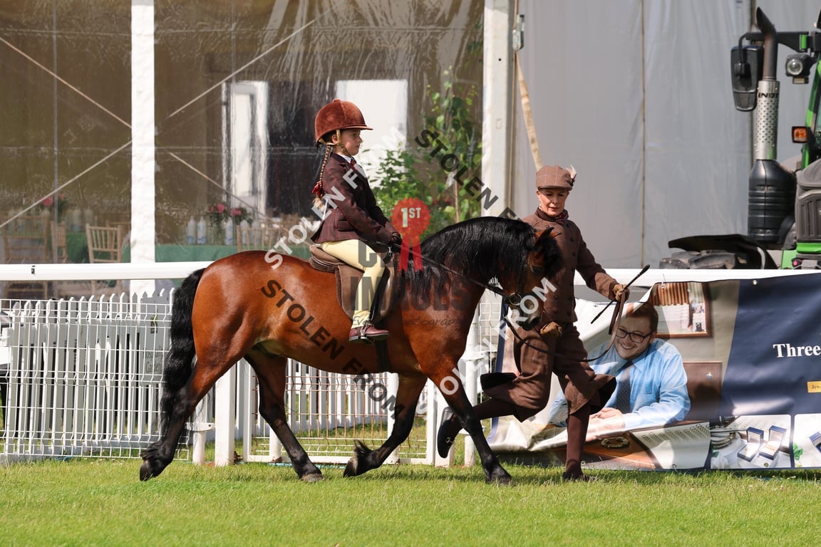 S46_1210 2025 - 1st Class Images