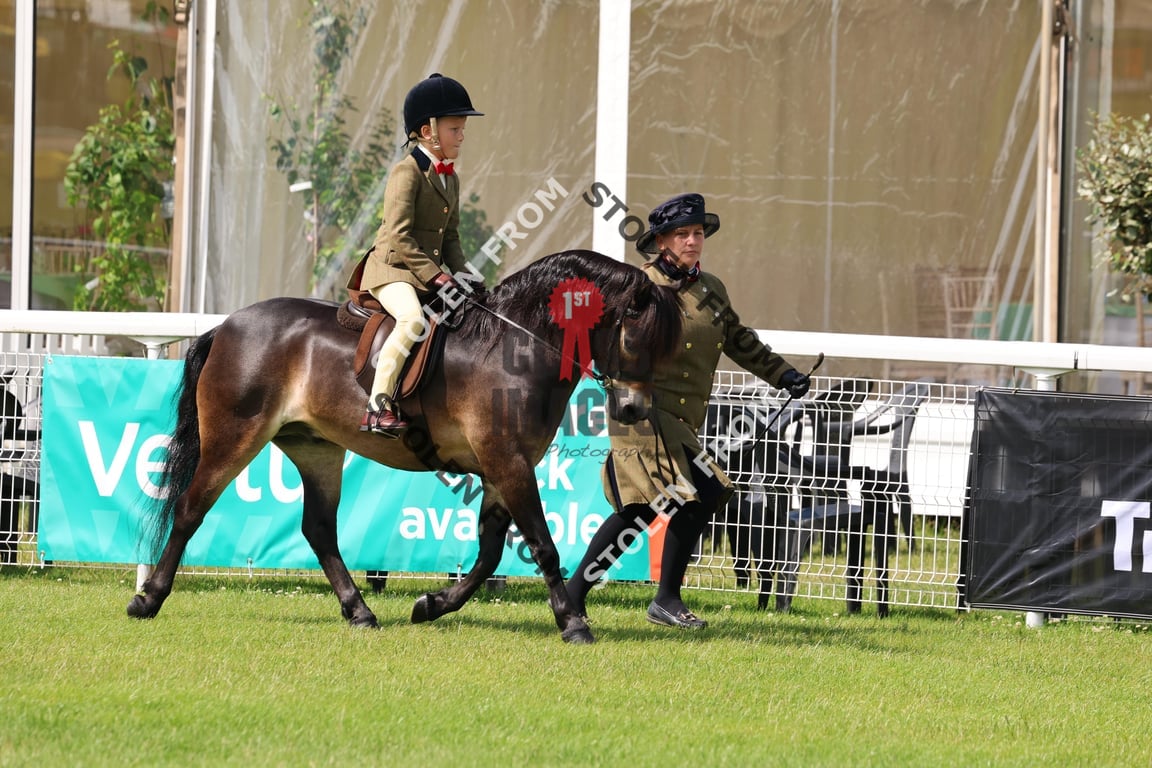 S46_1225 2025 - 1st Class Images