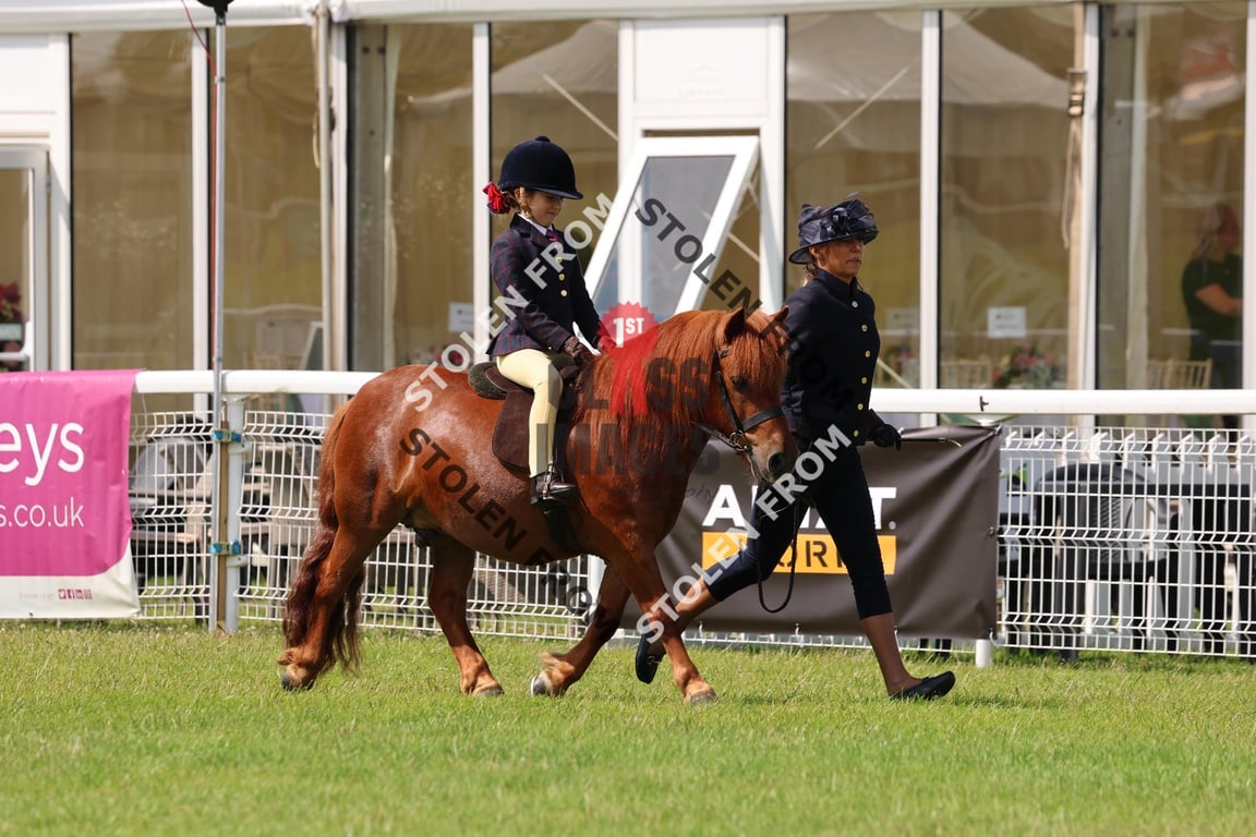 S46_1261 2025 - 1st Class Images