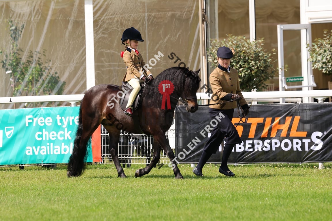 S46_1322 2025 - 1st Class Images