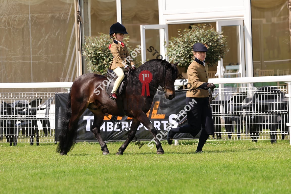 S46_1323 2025 - 1st Class Images