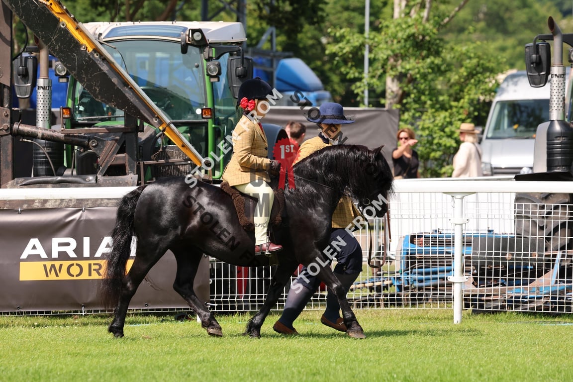 S46_1366 2025 - 1st Class Images