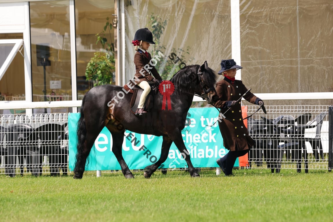 S46_1420 2025 - 1st Class Images