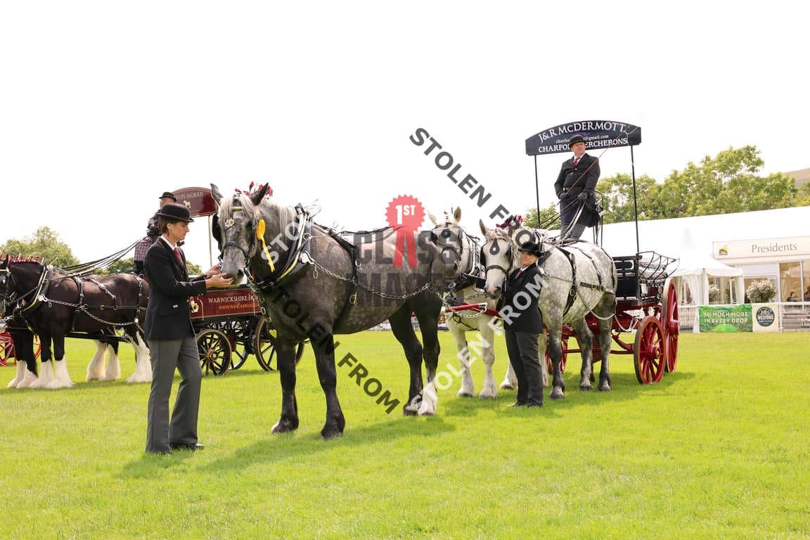 S46_1876 2025 - 1st Class Images