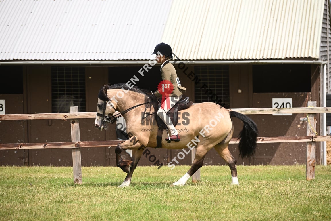 A46_1514 2025 - 1st Class Images