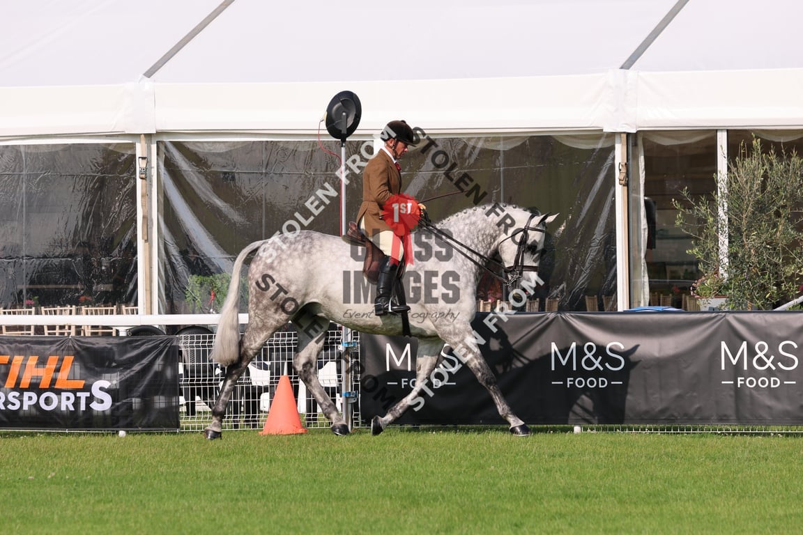 S47_2704 2025 - 1st Class Images