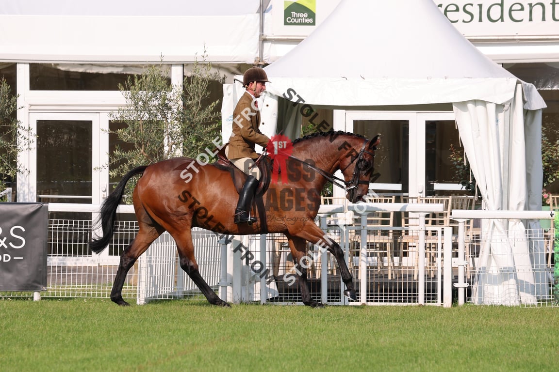 S47_2774 2025 - 1st Class Images