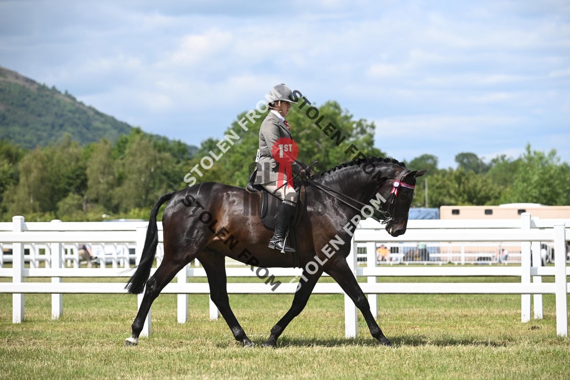 A48_1240 2025 - 1st Class Images