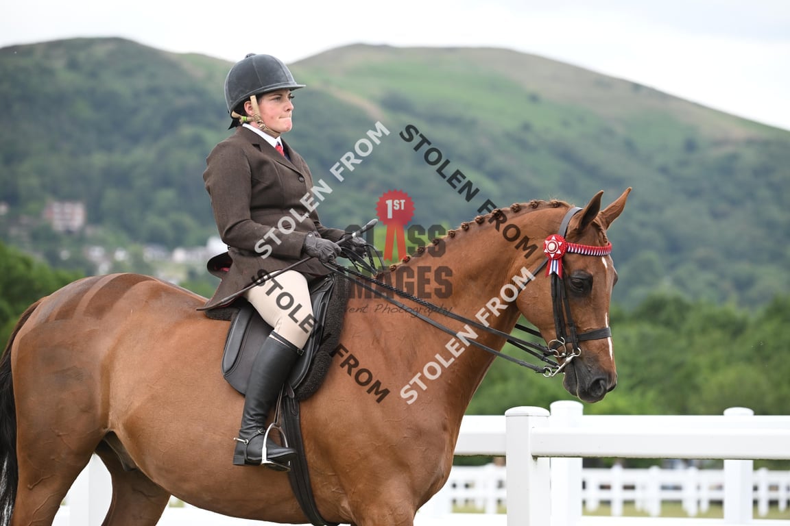 A48_1404 2025 - 1st Class Images