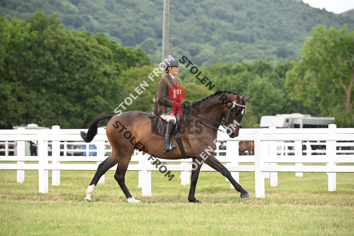 A48_1448 2025 - 1st Class Images