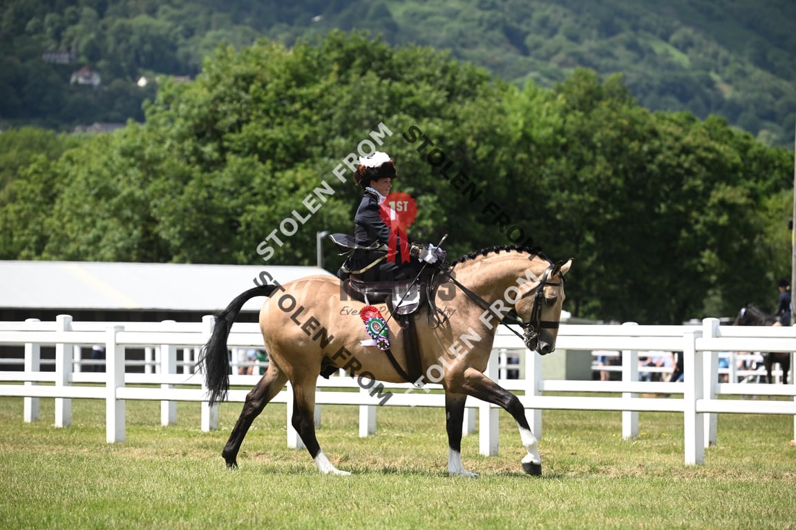 A48_1199 2025 - 1st Class Images