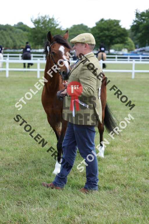 F48_2049 2025 - 1st Class Images