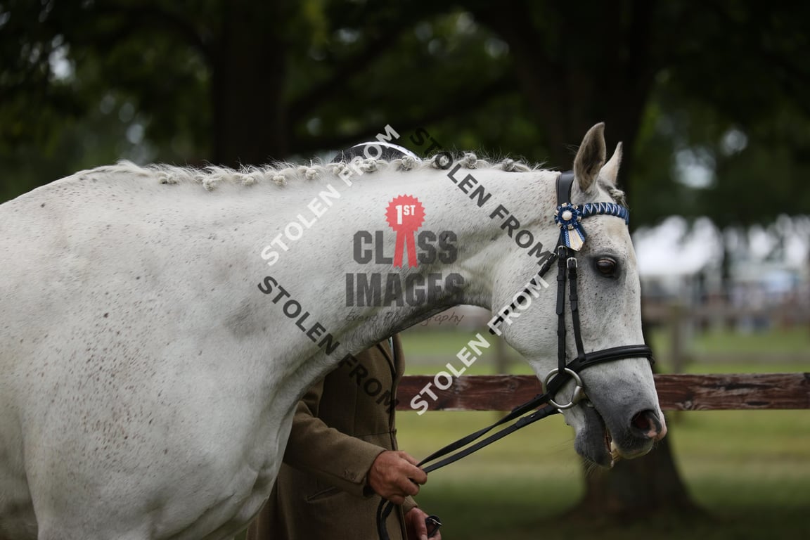 E48_2141 2025 - 1st Class Images