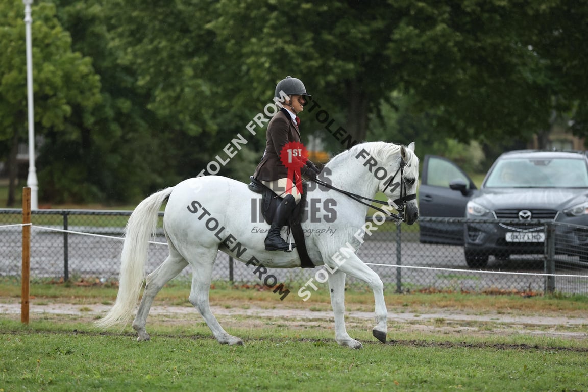 A76_4087 2025 - 1st Class Images