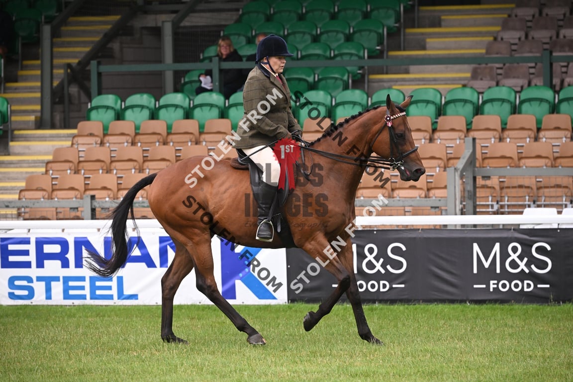 A77_0121 2025 - 1st Class Images