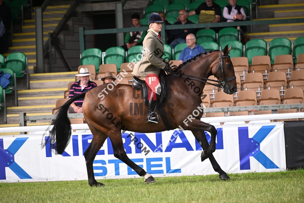 A77_0886 2025 - 1st Class Images