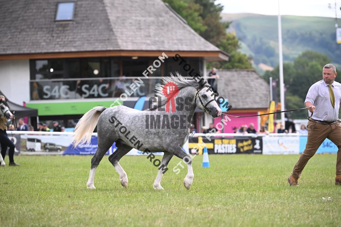 A78_1828 2025 - 1st Class Images