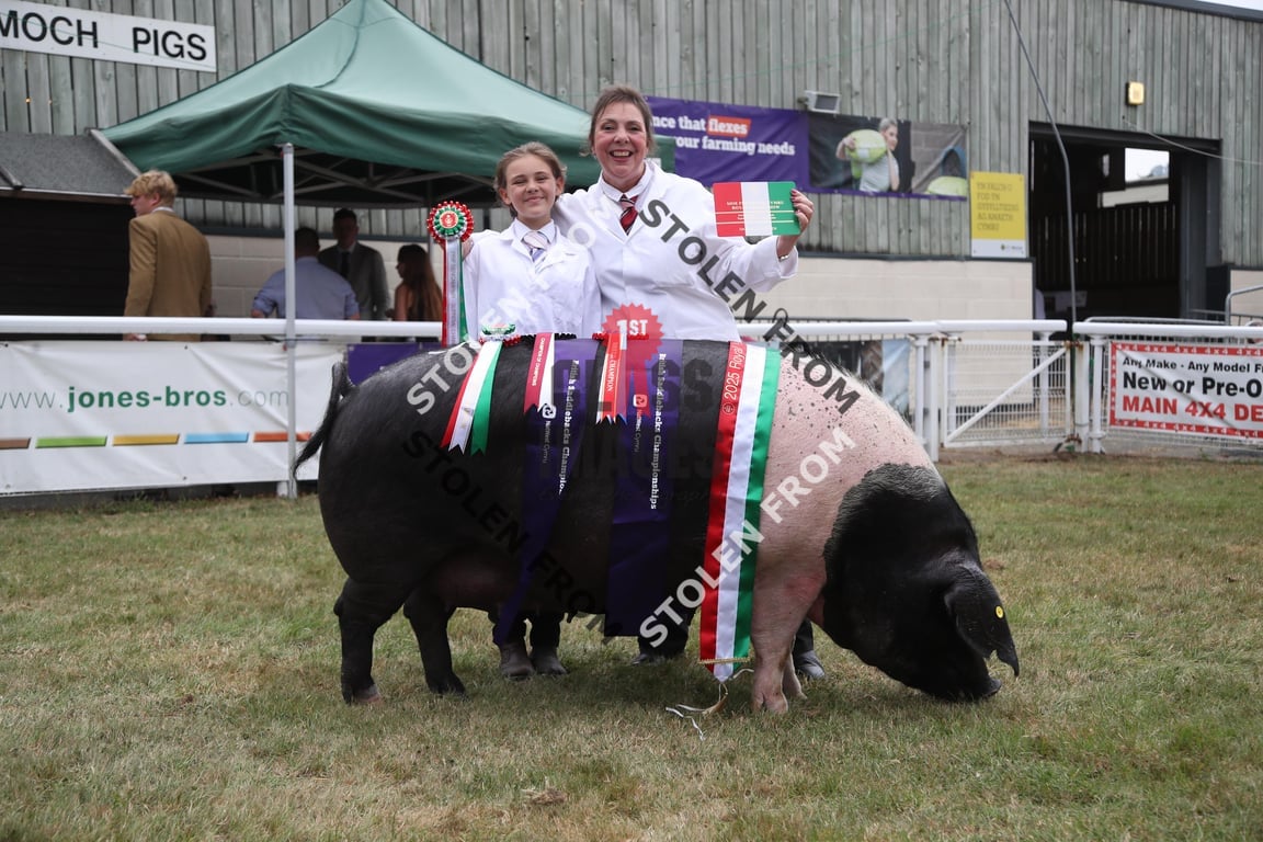 M79_6428 2025 - 1st Class Images