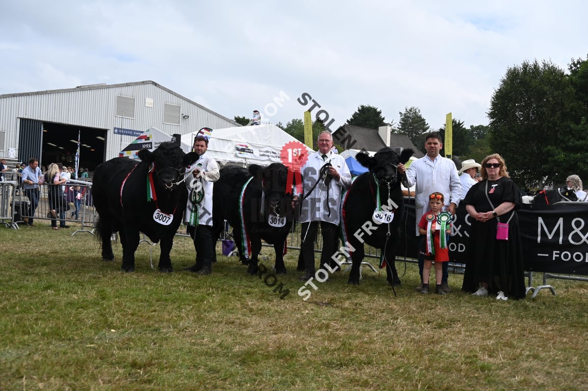 K80_1212 2025 - 1st Class Images