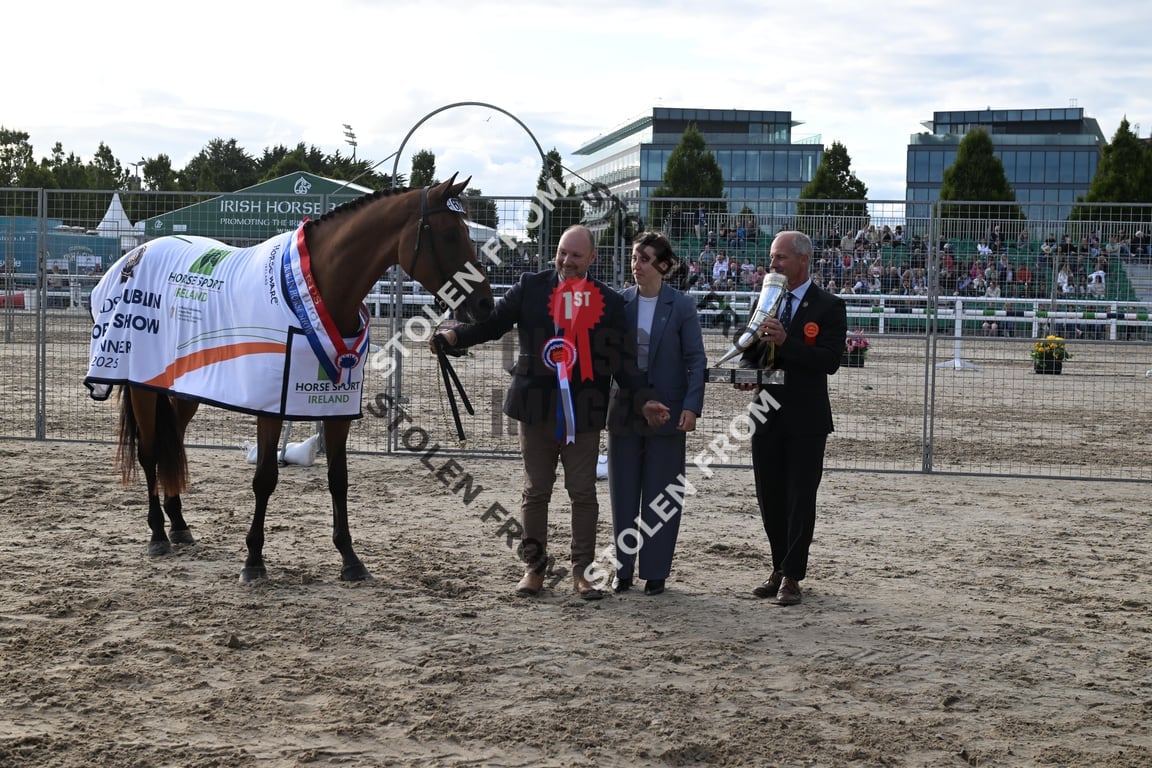 C93_4870 2025 - 1st Class Images