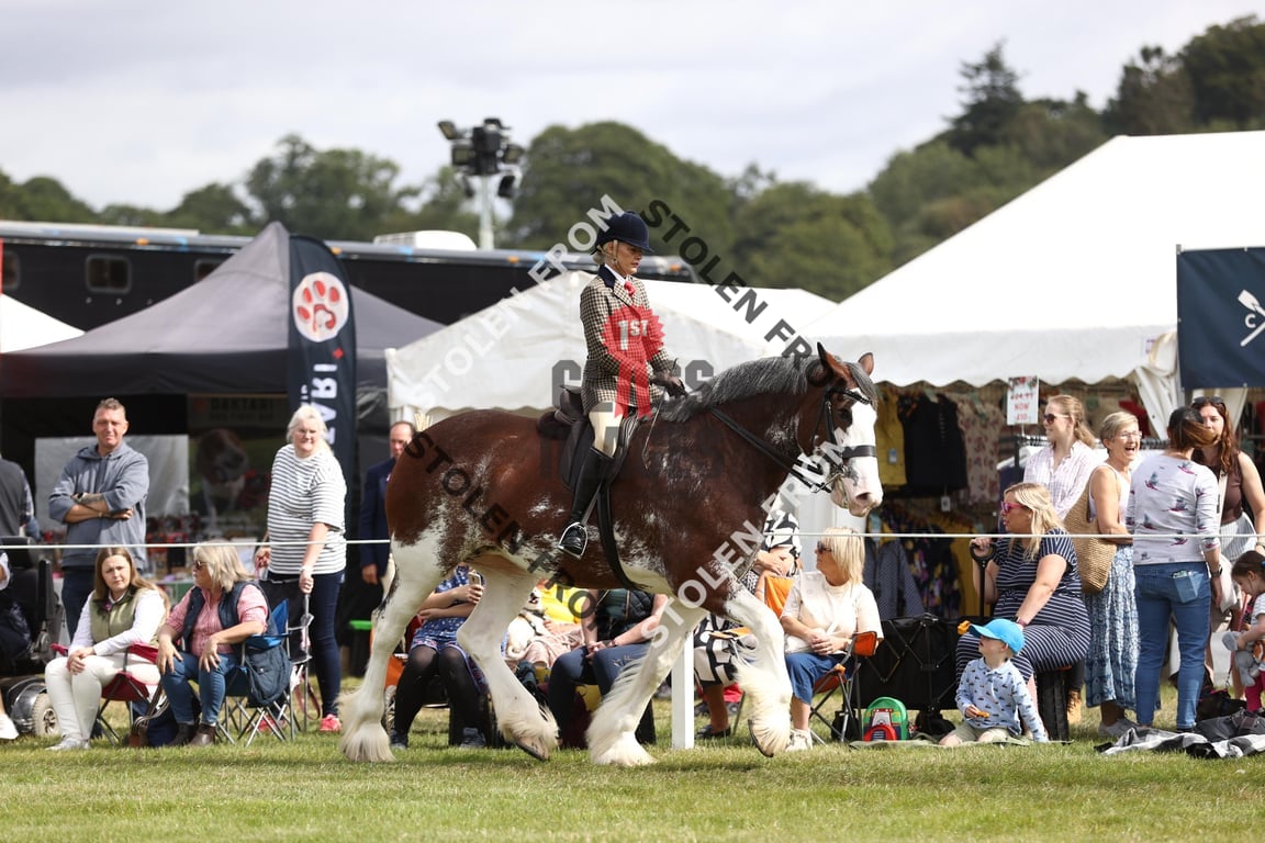 TA2_1742 2025 - 1st Class Images