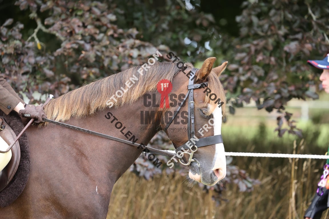 SA3_5202 2025 - 1st Class Images