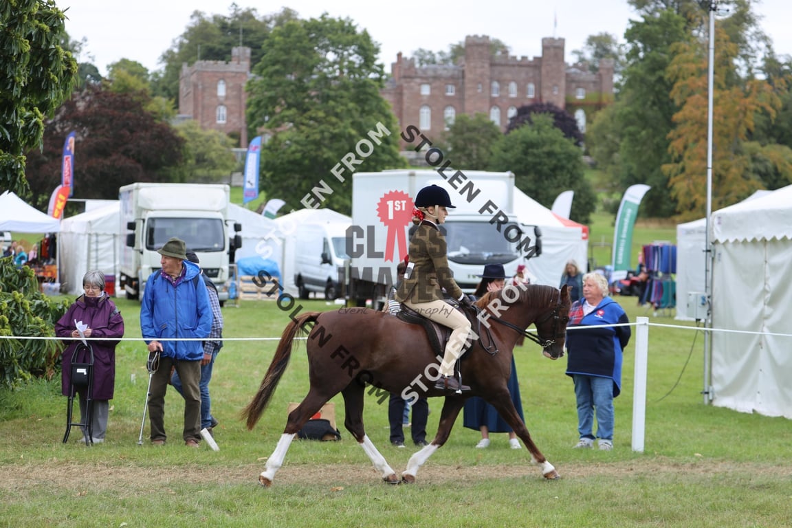 SA3_5245 2025 - 1st Class Images