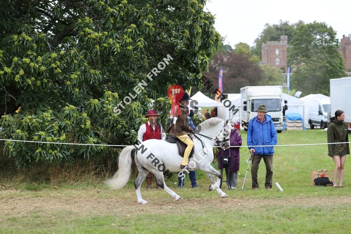 SA3_5281 2025 - 1st Class Images