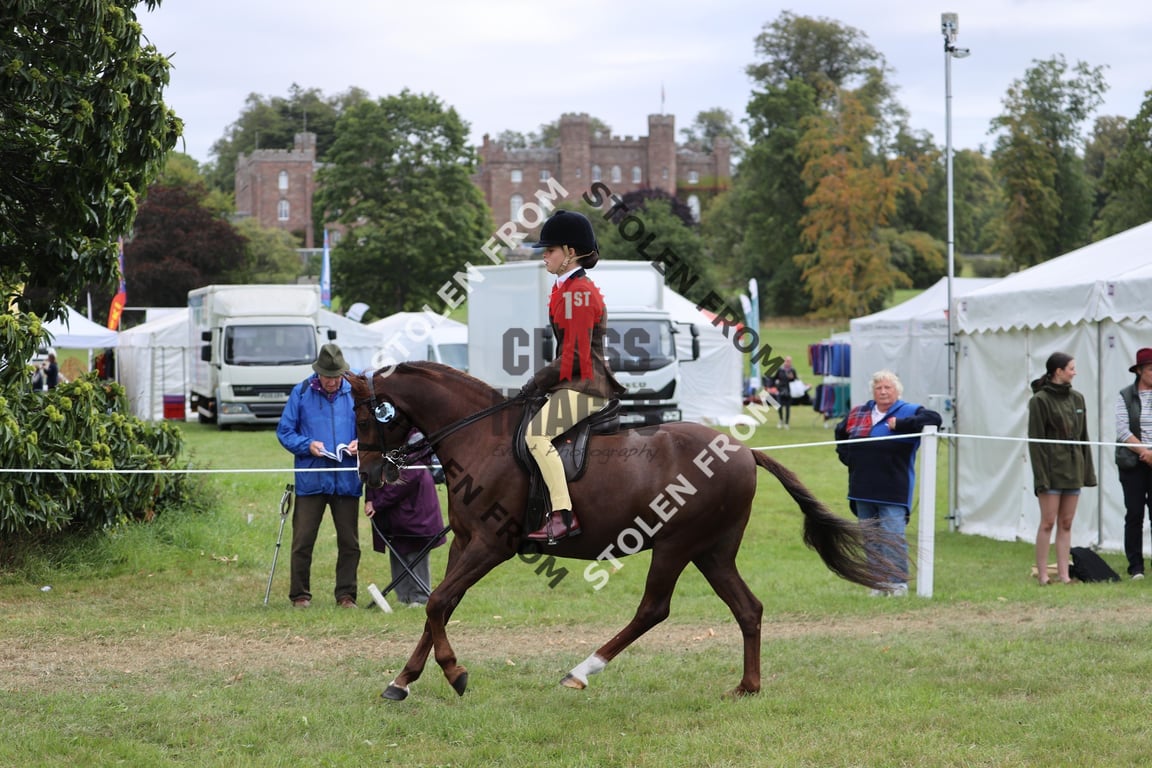 SA3_5360 2025 - 1st Class Images