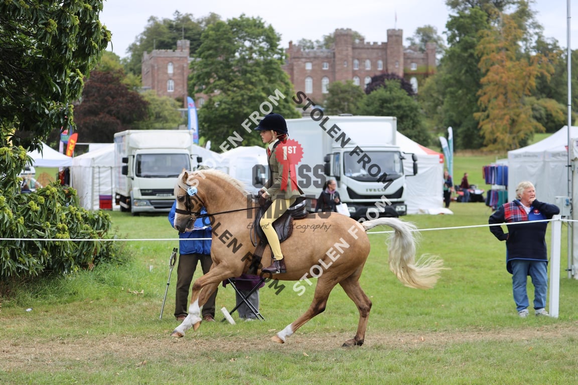 SA3_5372 2025 - 1st Class Images