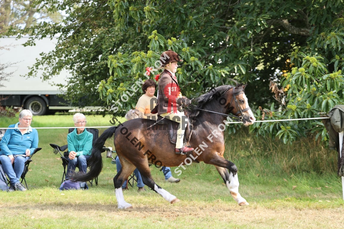 SA3_5578 2025 - 1st Class Images